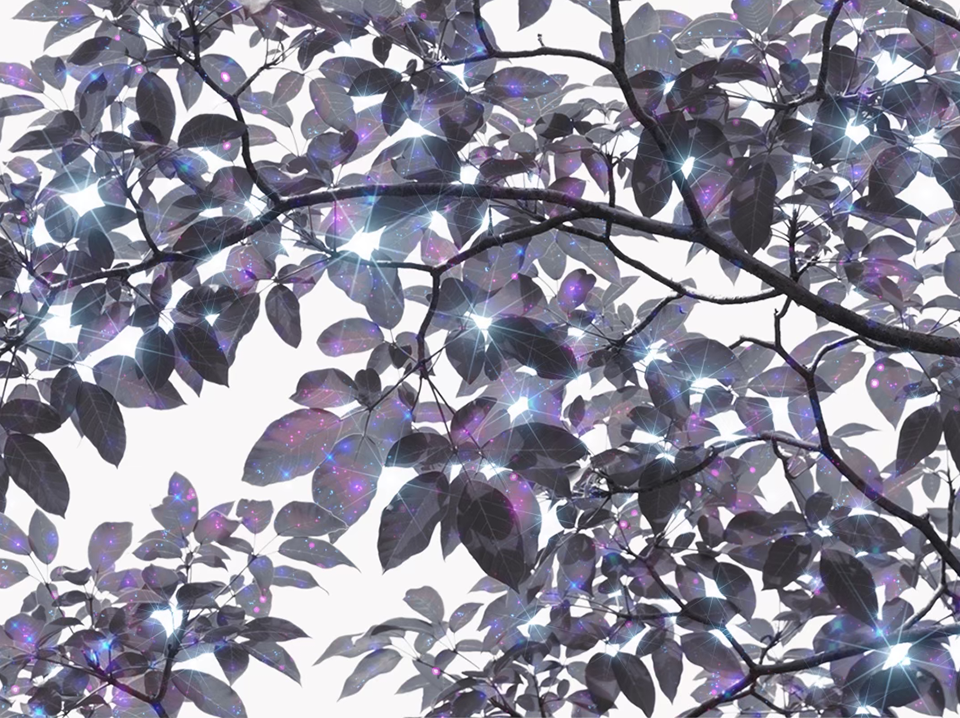 Glimmers Might Be Your New Favorite Mental Health Hack