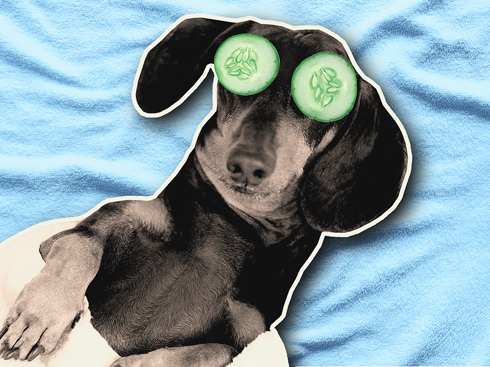 Don’t Know How to Relax? Here are 7 Therapist Tips for Chilling