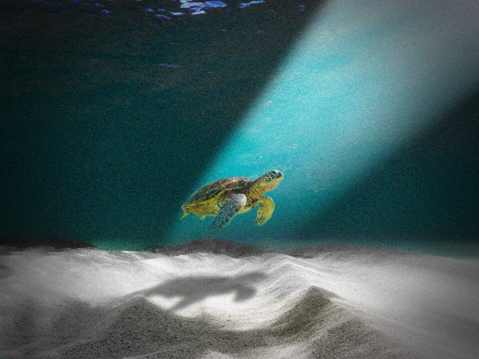 Here’s What to Do When You Feel Lonely to Help You Feel Better