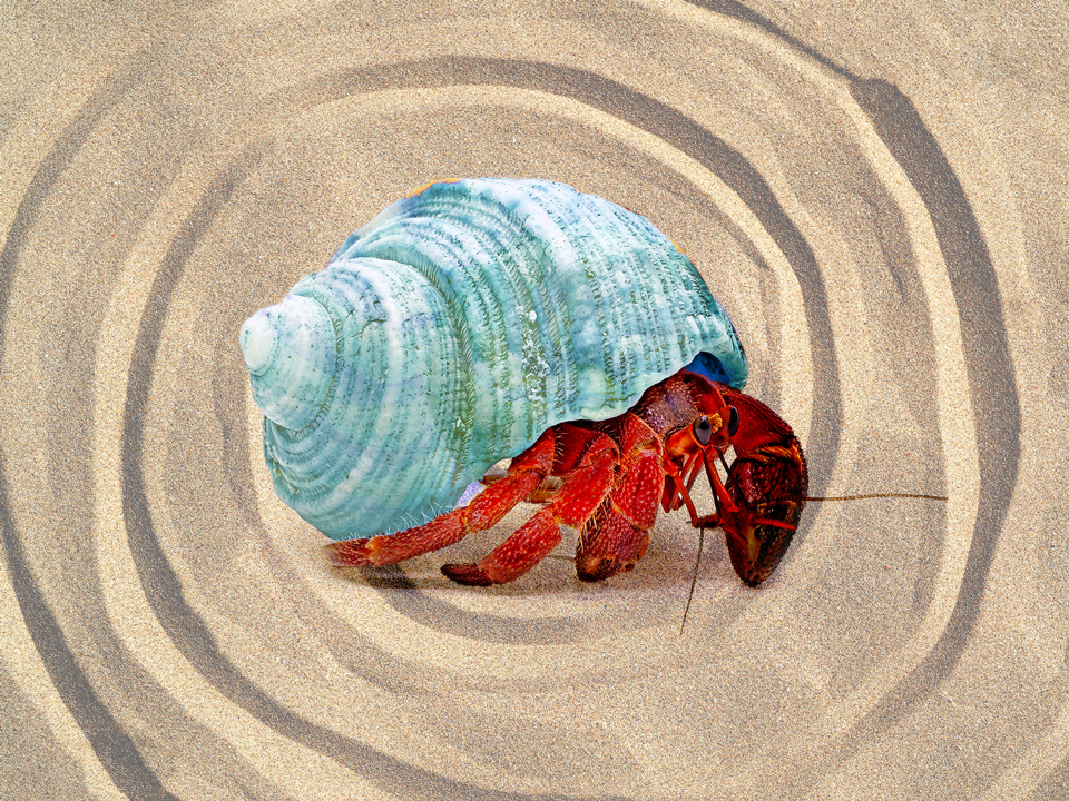 How to Break Out of a Self-Isolation Spiral - Wondermind